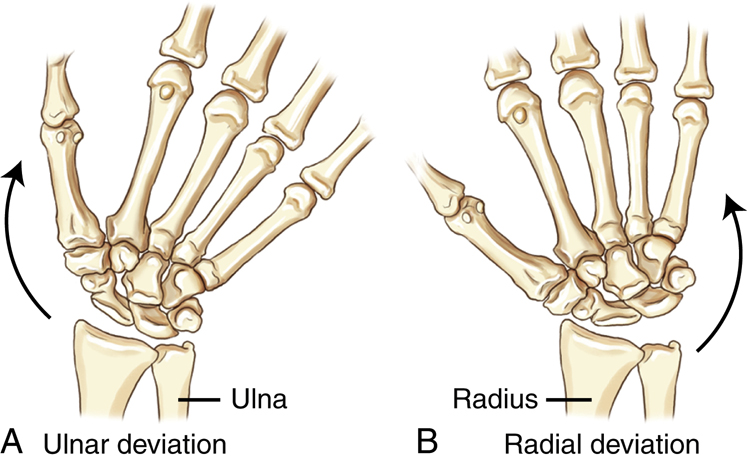 Bontrager's Textbook of Radiographic Positioning and Related Anatomy