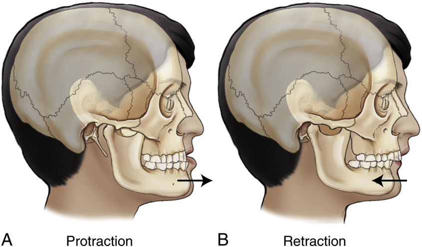 Bontrager's Textbook of Radiographic Positioning and Related Anatomy