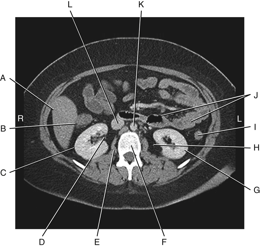 Bontrager's Textbook of Radiographic Positioning and Related Anatomy