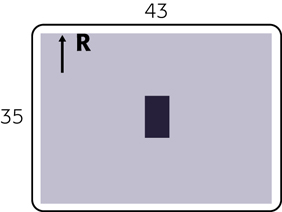 Bontrager's Textbook of Radiographic Positioning and Related Anatomy