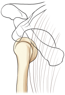 Bontrager's Textbook of Radiographic Positioning and Related Anatomy