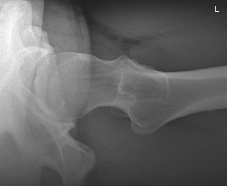 Bontrager's Textbook of Radiographic Positioning and Related Anatomy