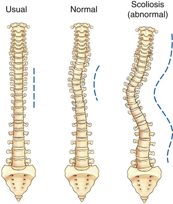 Bontrager's Textbook of Radiographic Positioning and Related Anatomy