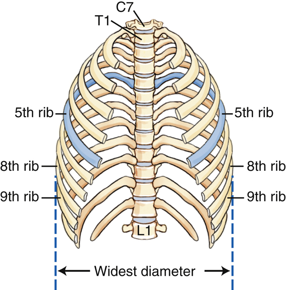 Bontrager's Textbook of Radiographic Positioning and Related Anatomy