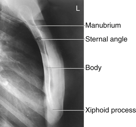 Bontrager's Textbook of Radiographic Positioning and Related Anatomy