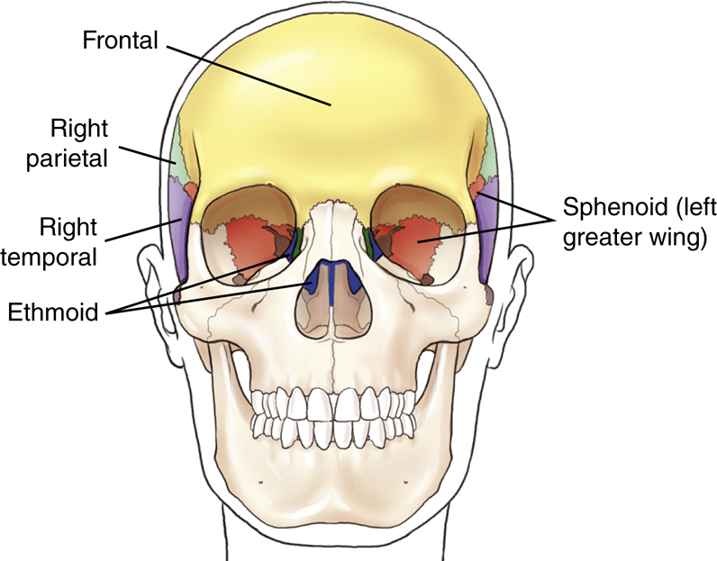 Bontrager's Textbook of Radiographic Positioning and Related Anatomy