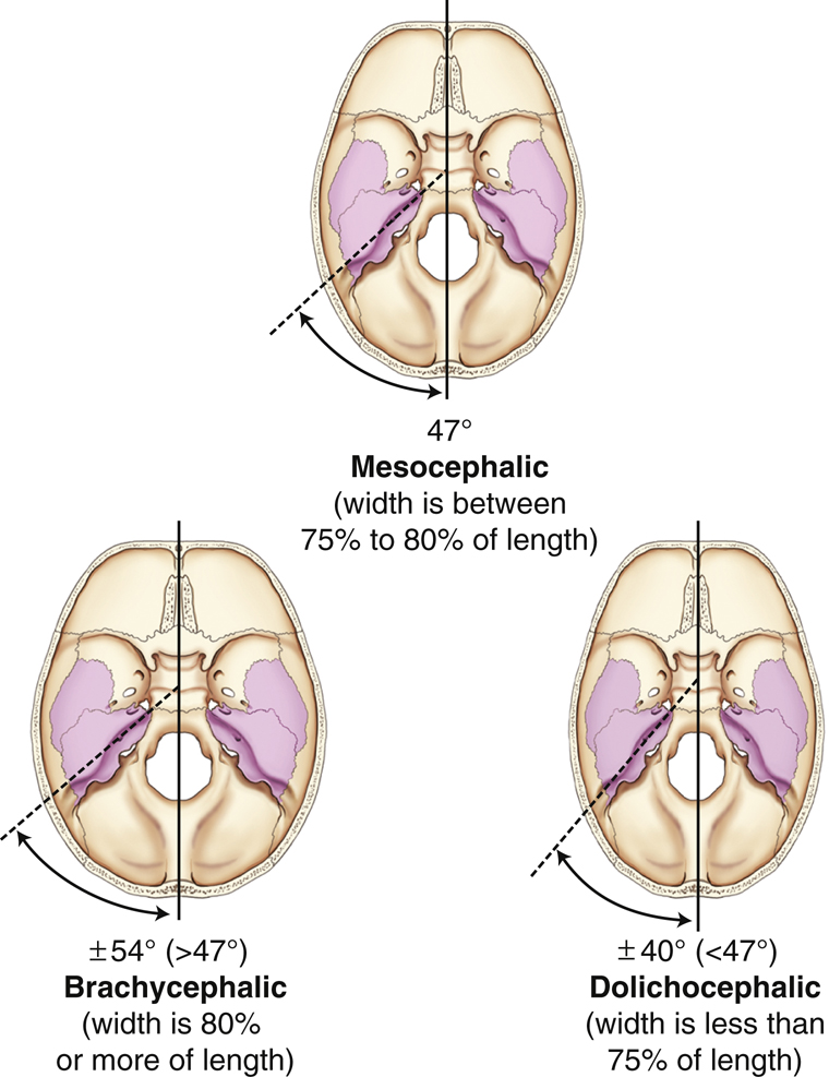 Bontrager's Textbook of Radiographic Positioning and Related Anatomy