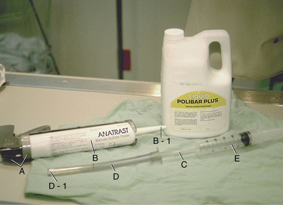 Bontrager's Textbook of Radiographic Positioning and Related Anatomy