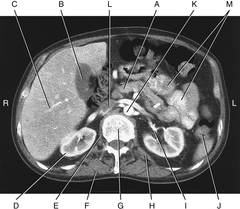 Bontrager's Textbook of Radiographic Positioning and Related Anatomy