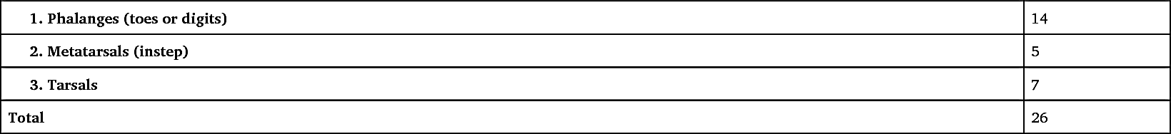 Bontrager's Textbook of Radiographic Positioning and Related Anatomy
