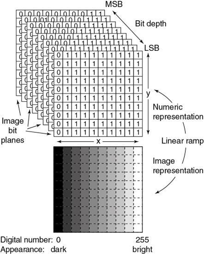 Physical principles of computed tomography