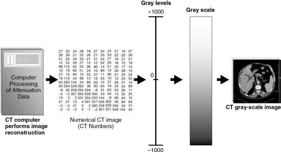 Image postprocessing and visualization tools