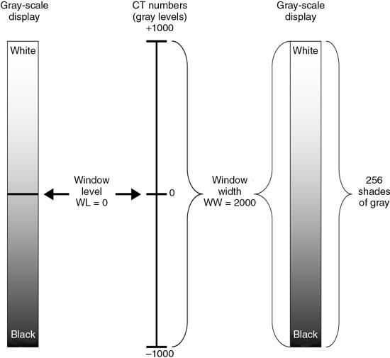 Image postprocessing and visualization tools