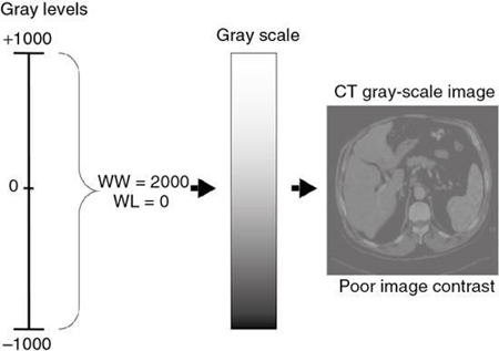 Image postprocessing and visualization tools