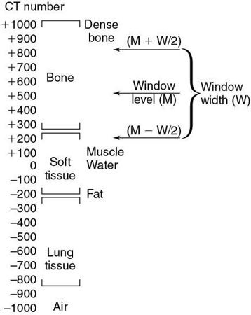 Image postprocessing and visualization tools
