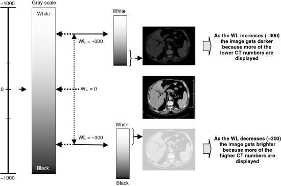 Image postprocessing and visualization tools