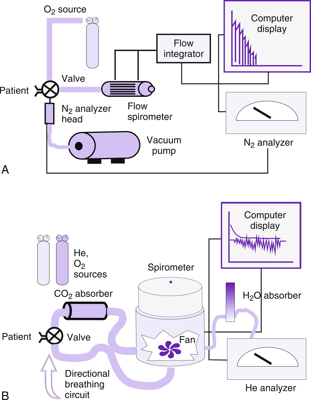 Ruppel's Manual of Pulmonary Function Testing