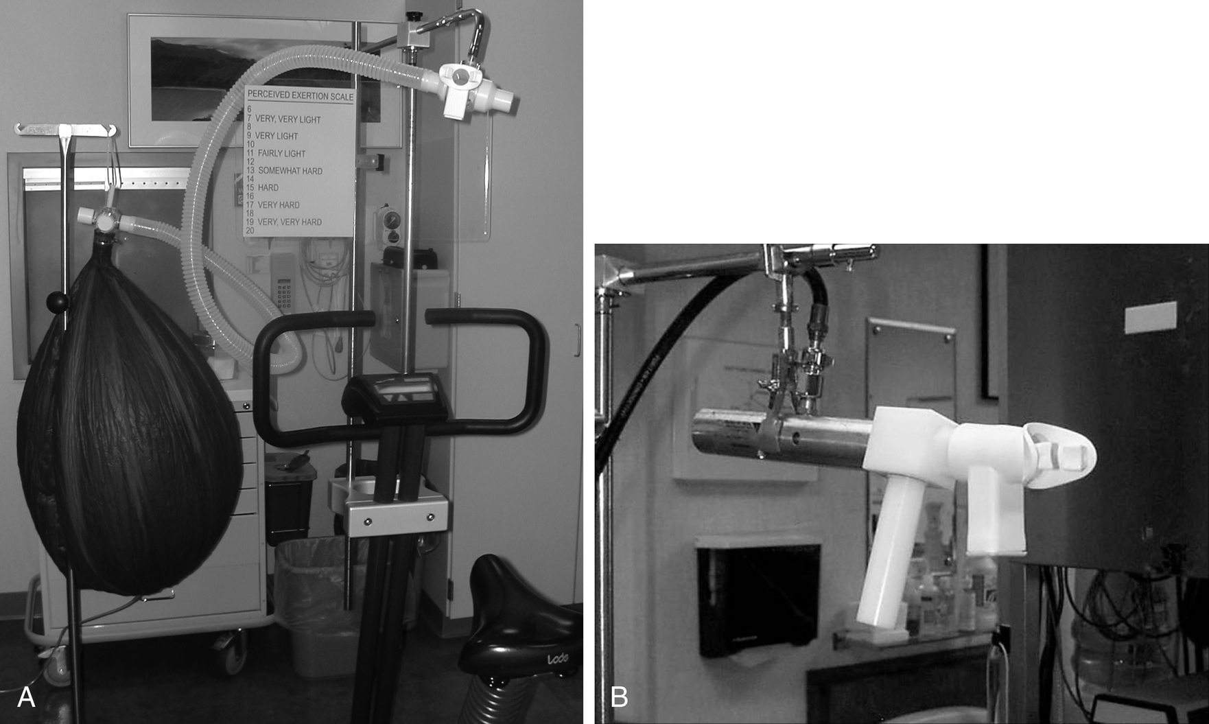 Ruppel's Manual of Pulmonary Function Testing
