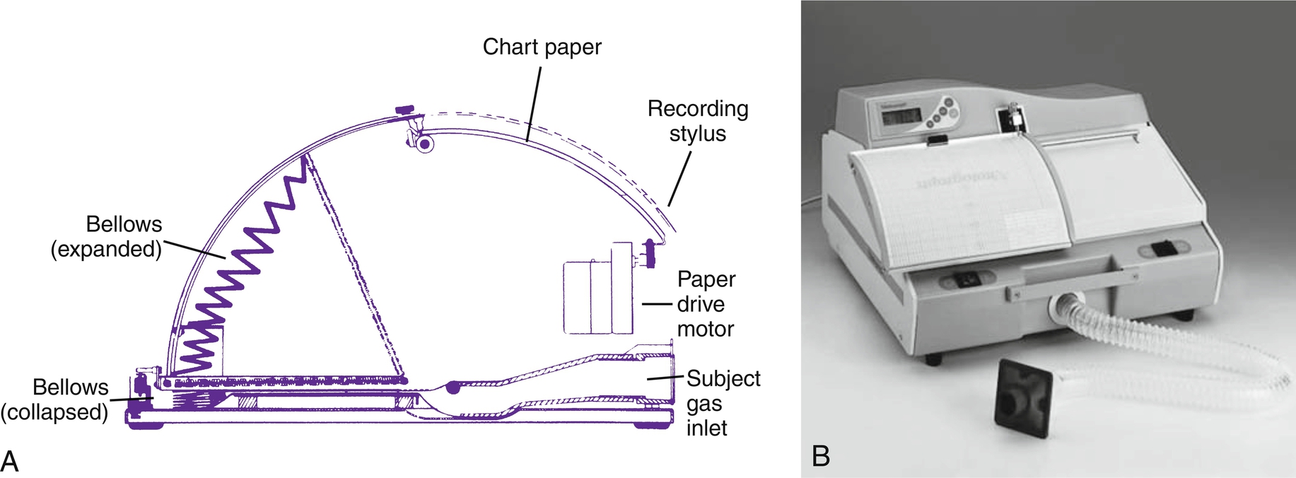 Ruppel's Manual of Pulmonary Function Testing
