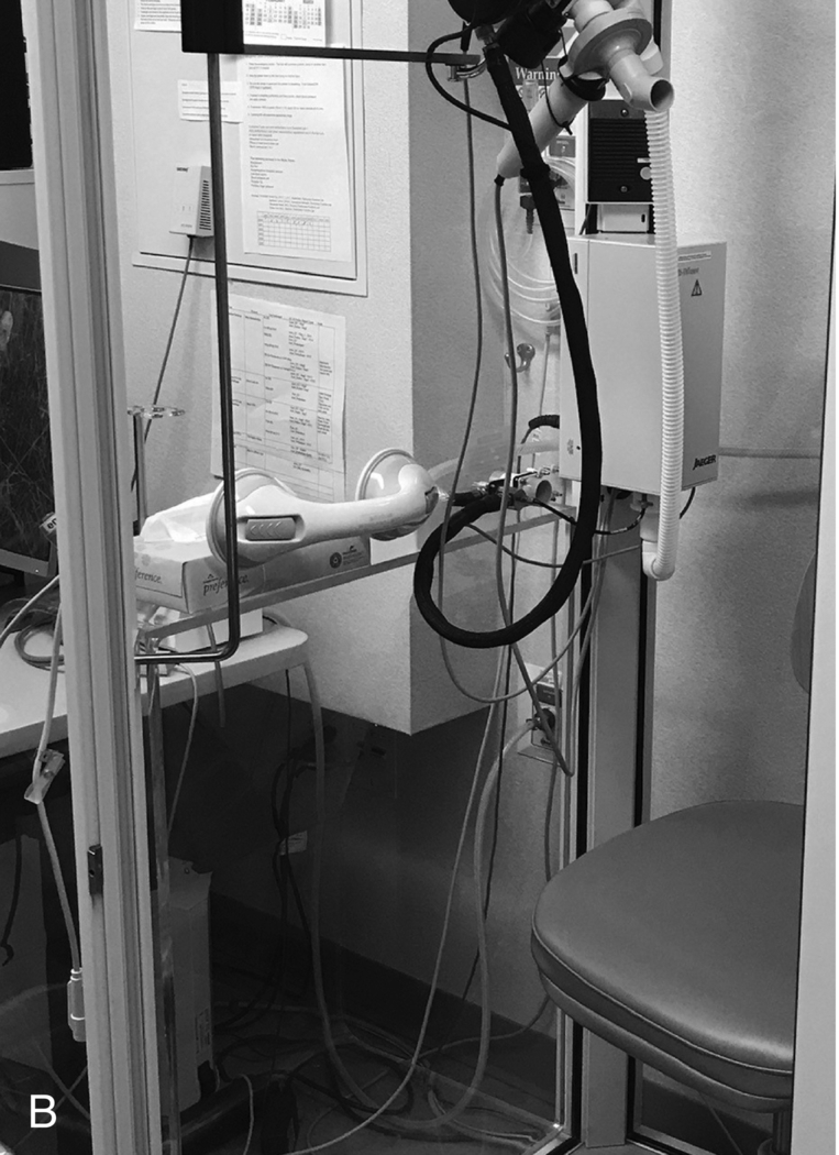 Ruppel's Manual of Pulmonary Function Testing