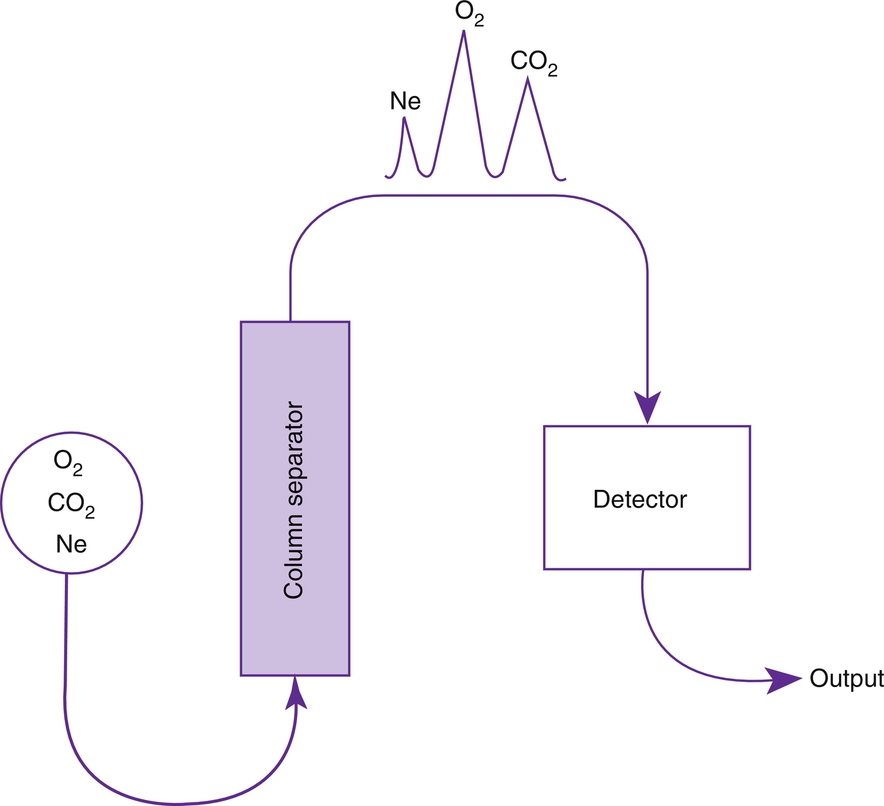 Ruppel's Manual of Pulmonary Function Testing