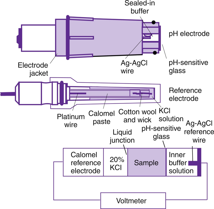 Ruppel's Manual of Pulmonary Function Testing