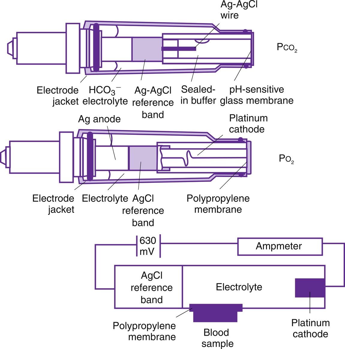 Ruppel's Manual of Pulmonary Function Testing