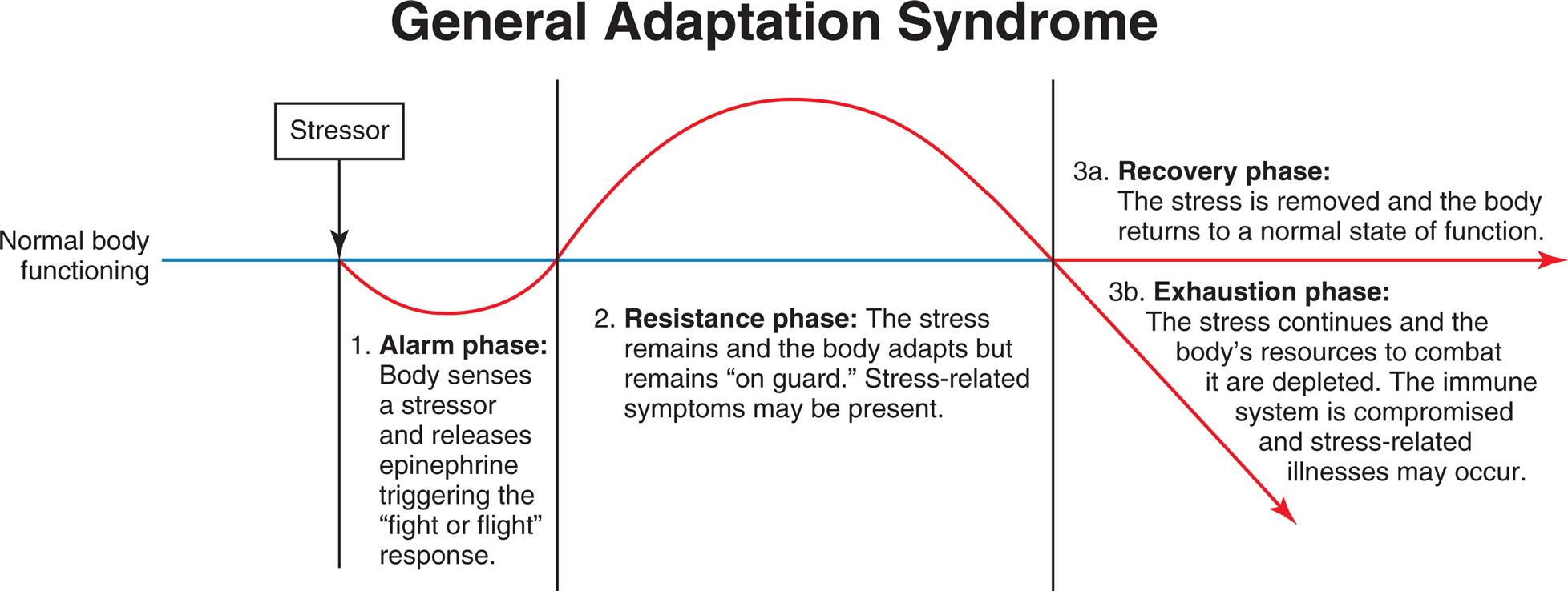 11: Stress and Disease