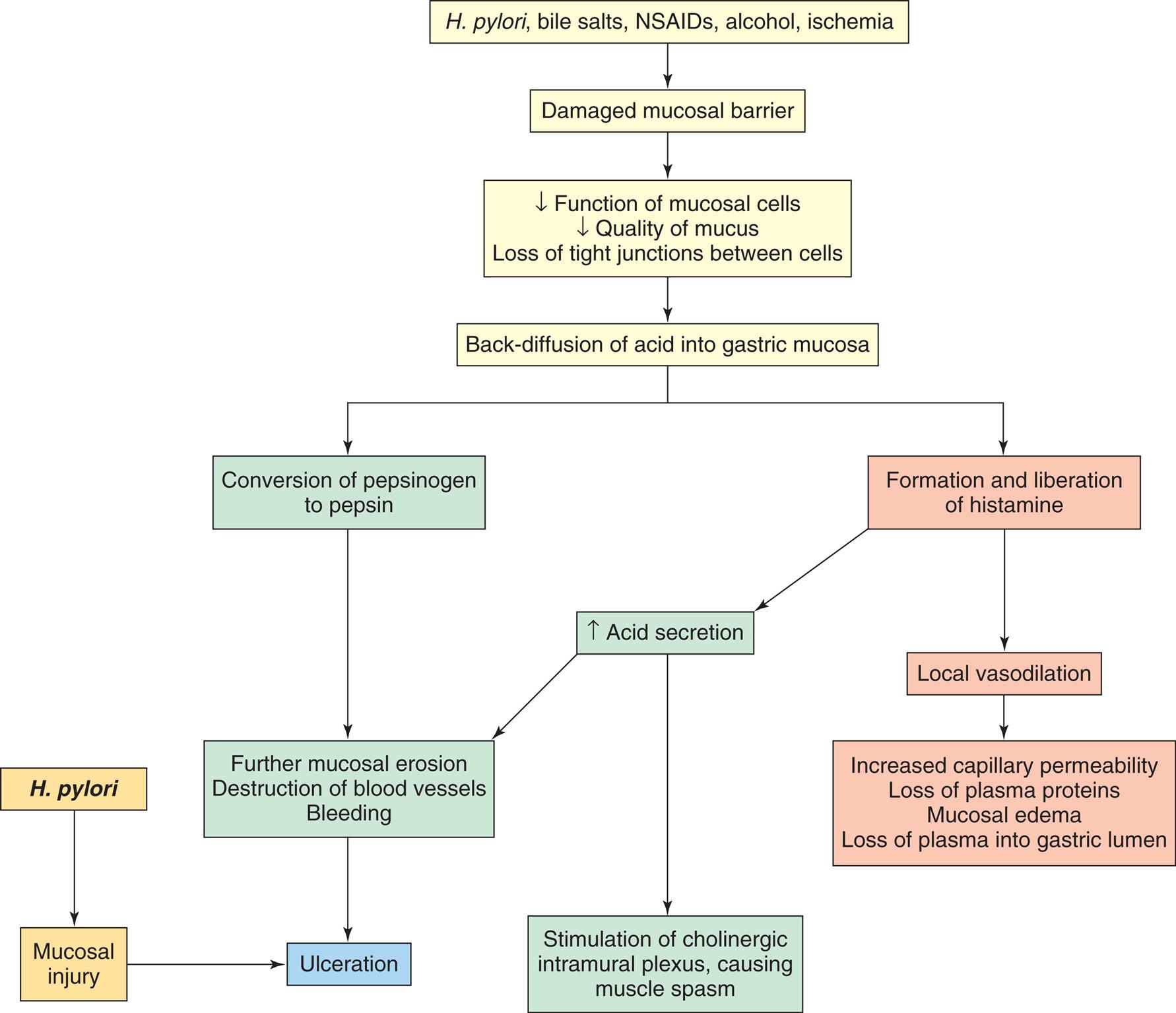 41: Alterations of Digestive Function