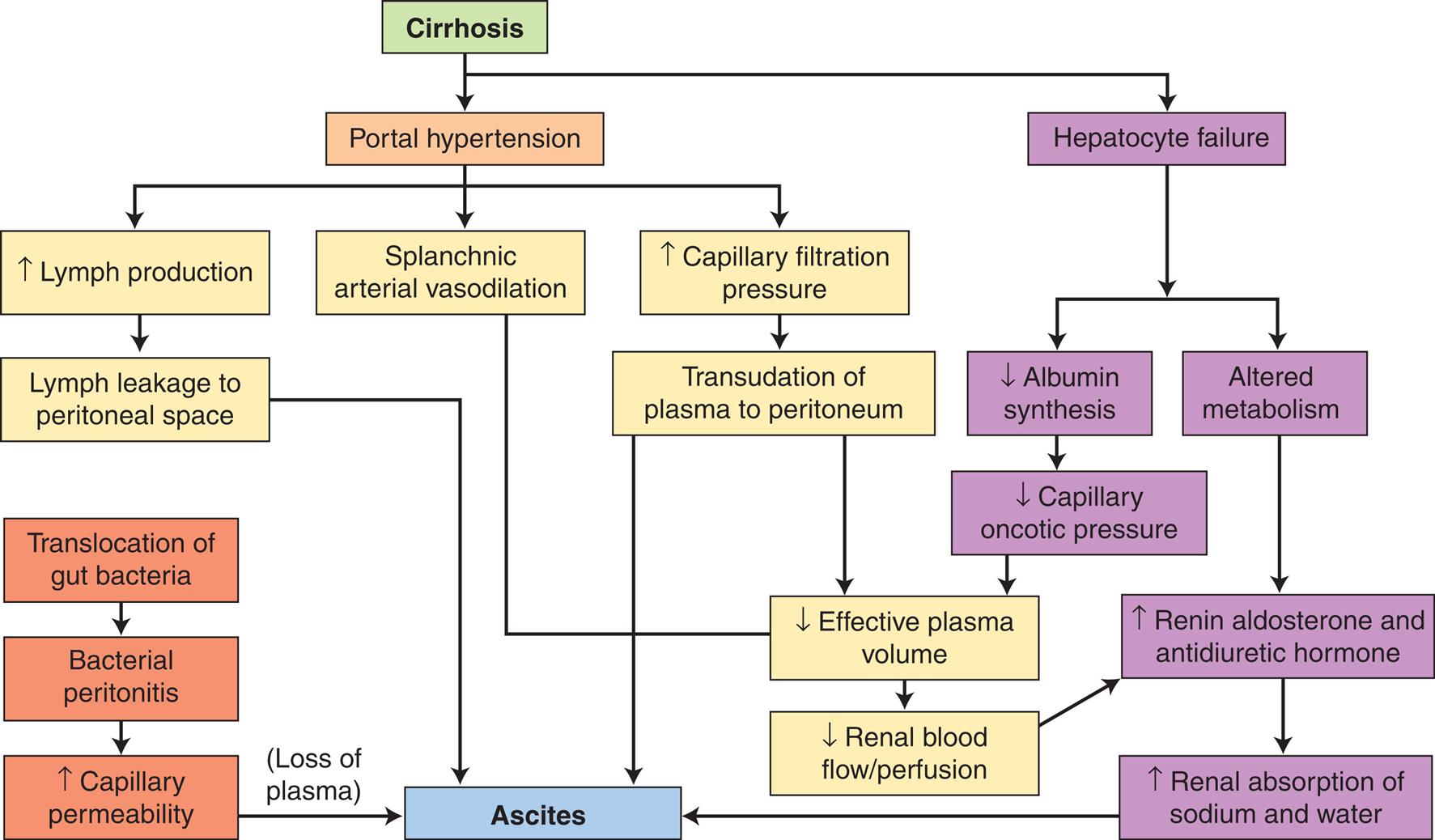 41: Alterations of Digestive Function
