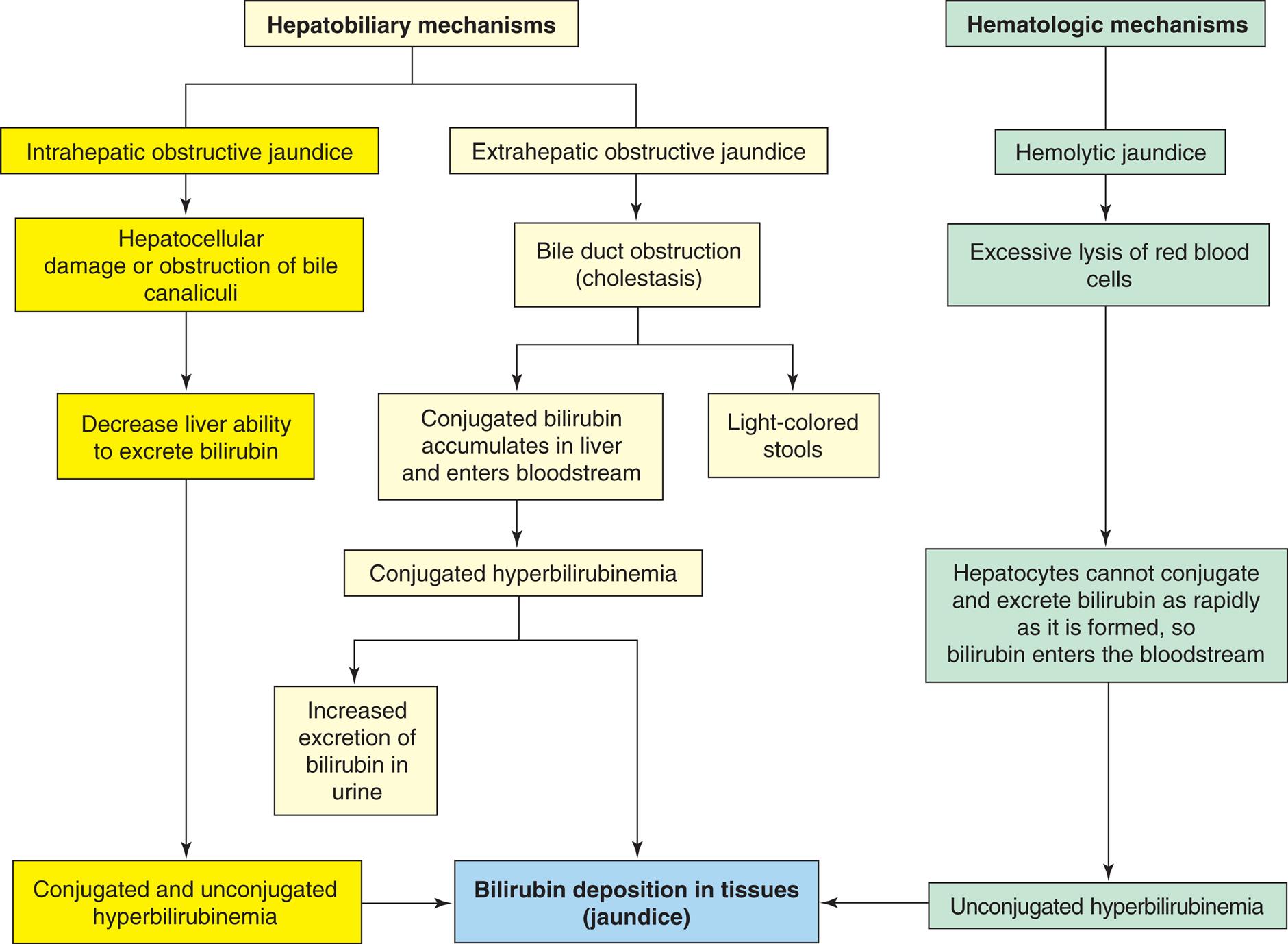41: Alterations of Digestive Function