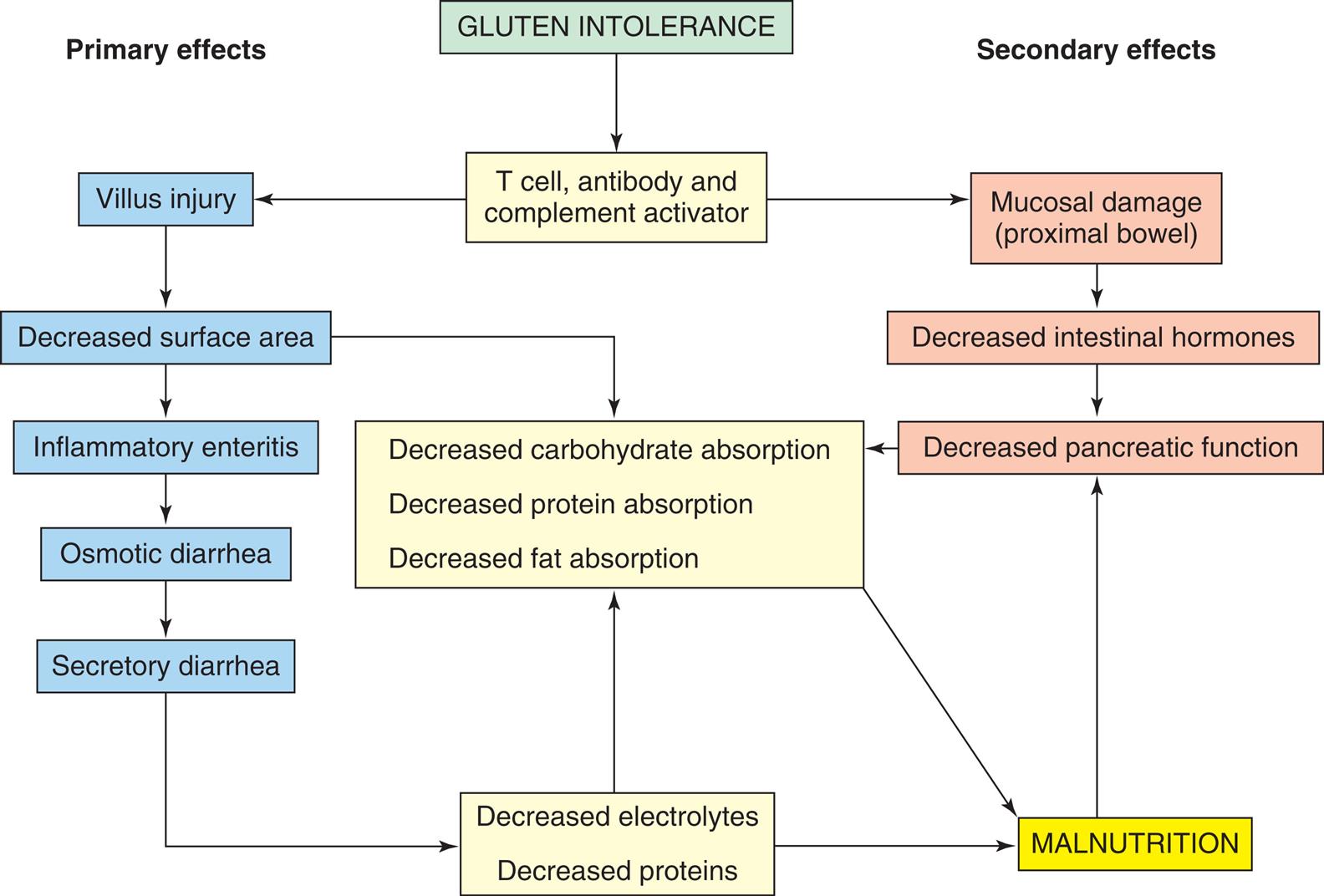 42: Alterations of Digestive Function in Children