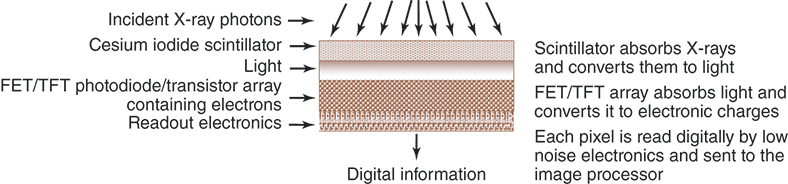 Digital Radiography and Pacs