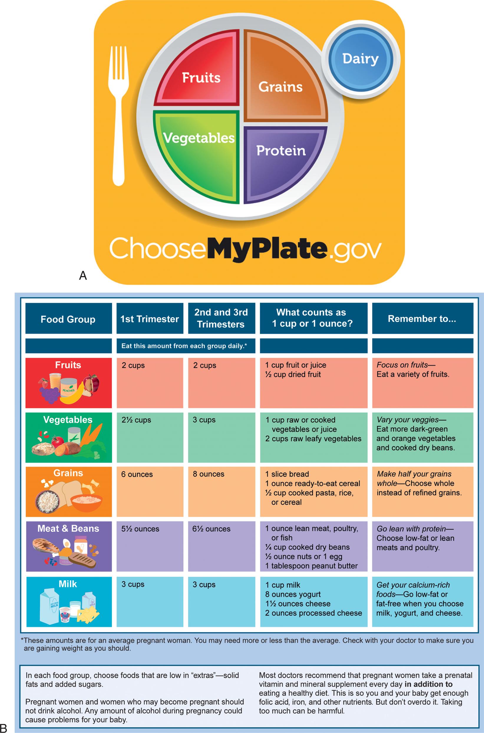 4: Prenatal Care and Adaptations to Pregnancy