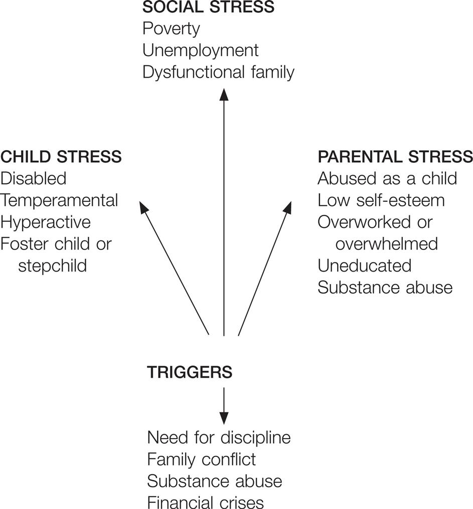 24: The Child with a Musculoskeletal Condition