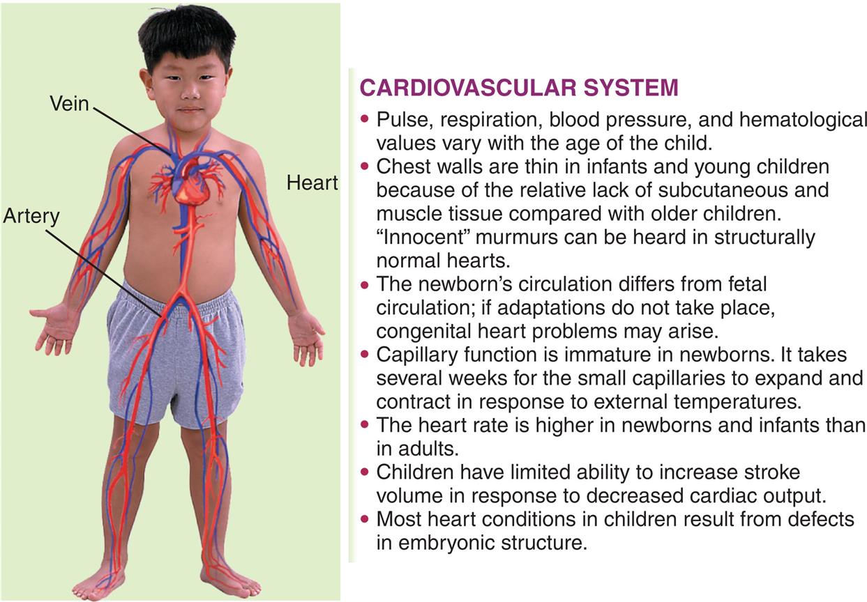 26: The Child with a Cardiovascular Disorder