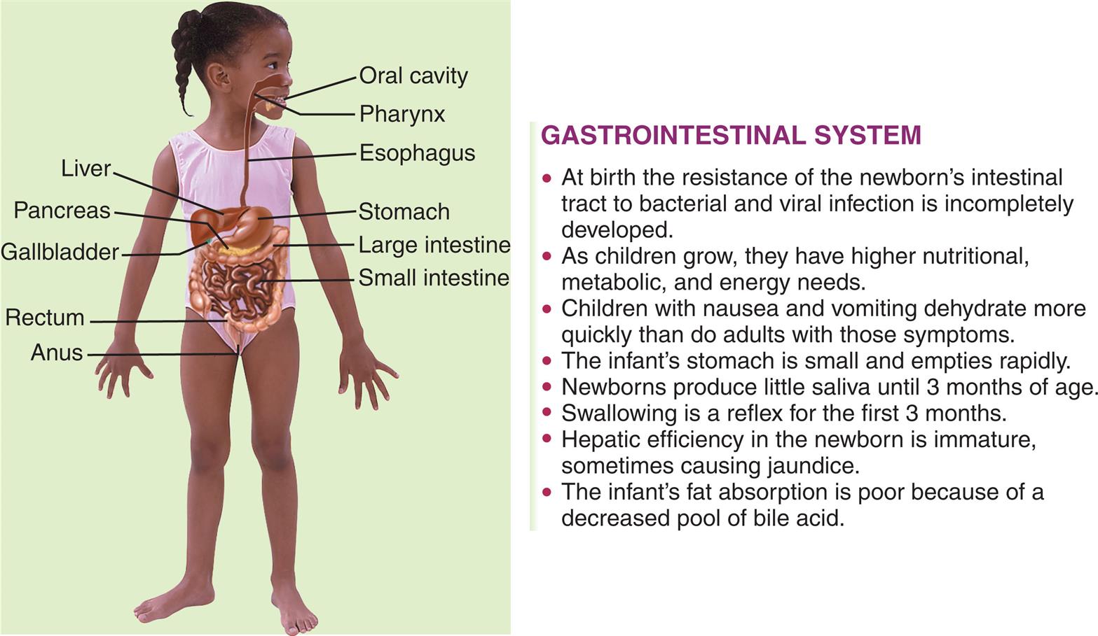 28: The Child with a Gastrointestinal Condition