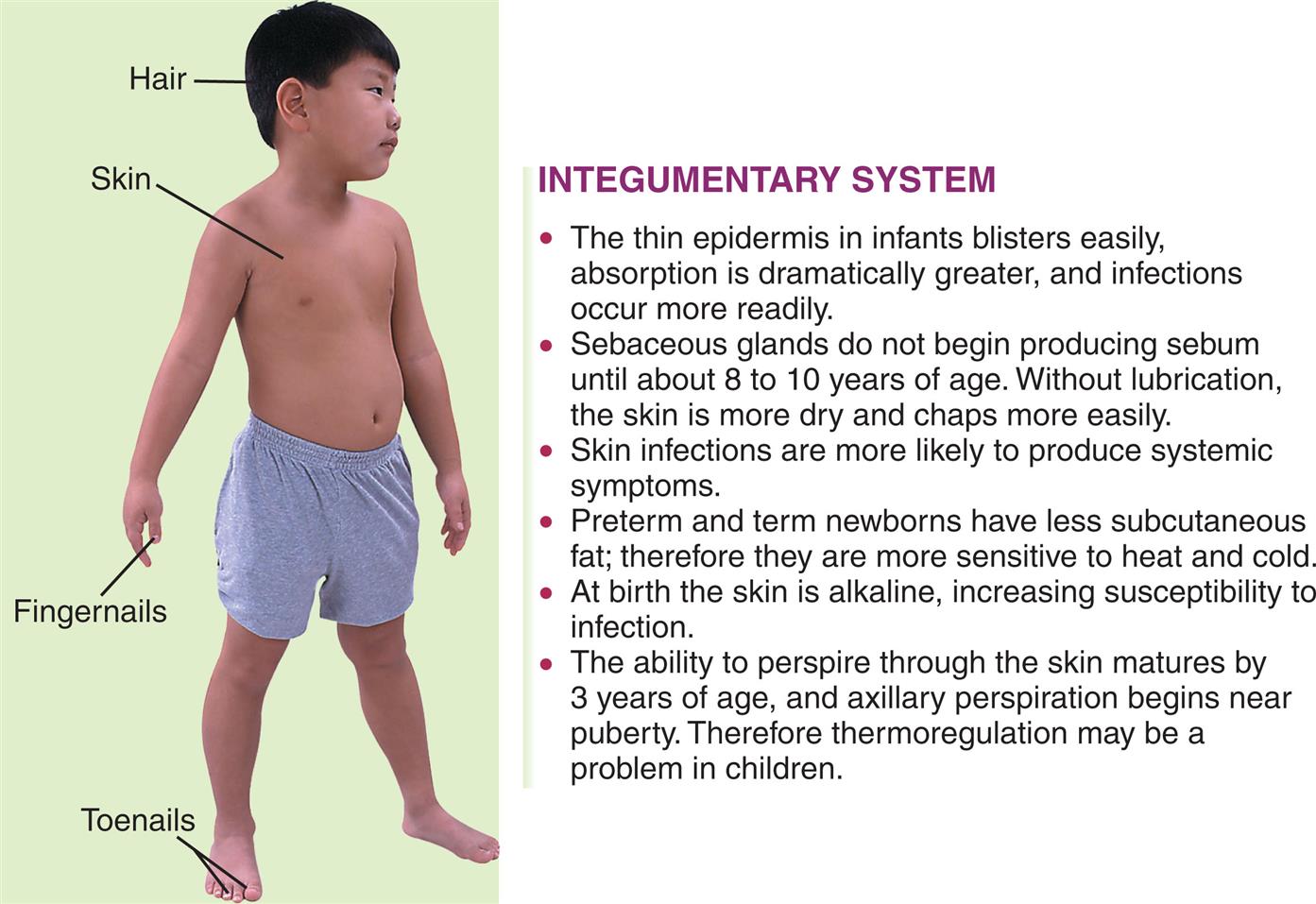 30: The Child with a Skin Condition