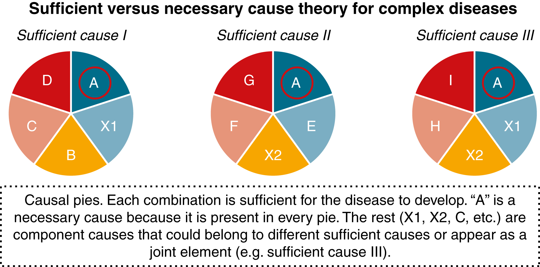 Periodontal Risk – Modifying And Predisposing Factors