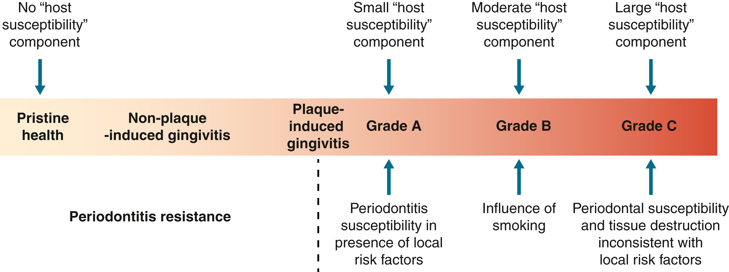 Periodontal Risk – Modifying And Predisposing Factors