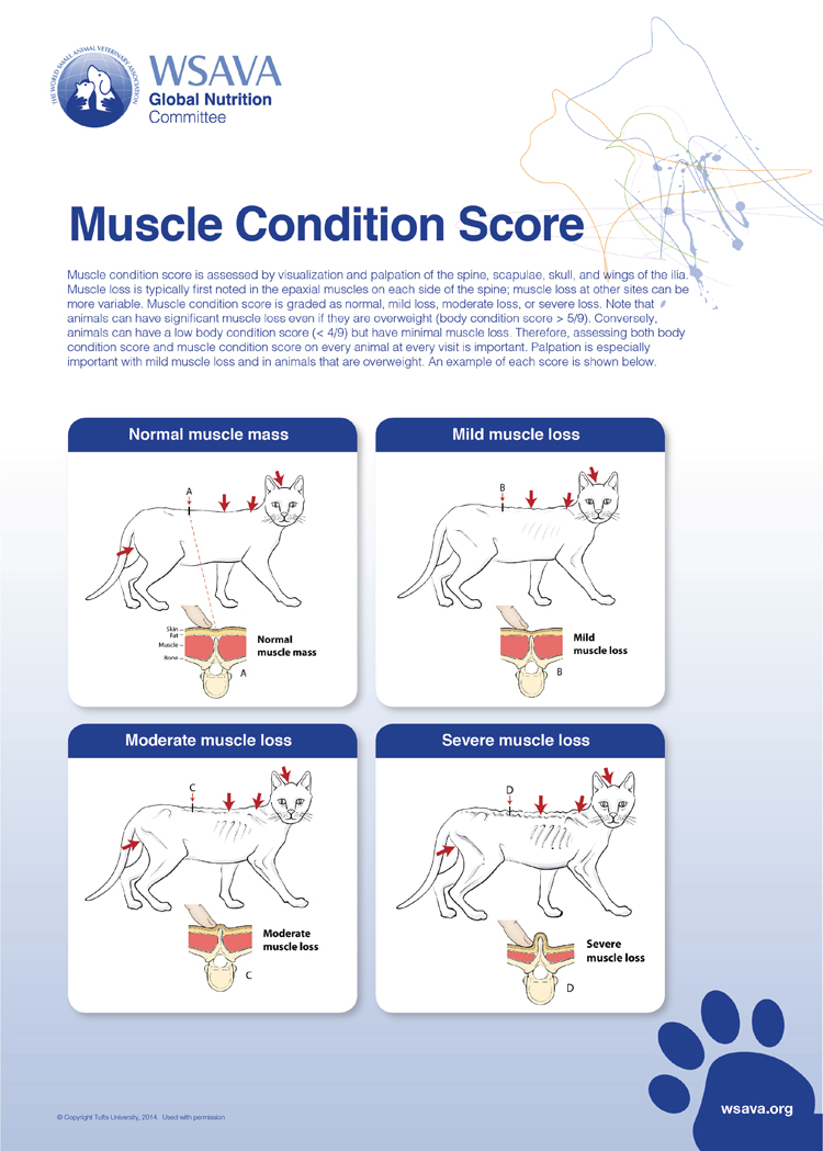 Nutritional assessment