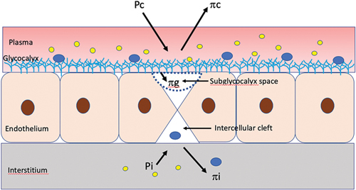 Colloid osmotic pressure and osmolality