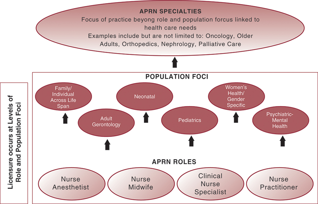 Hamric & Hanson’s Advanced Practice Nursing An Integrative Approach