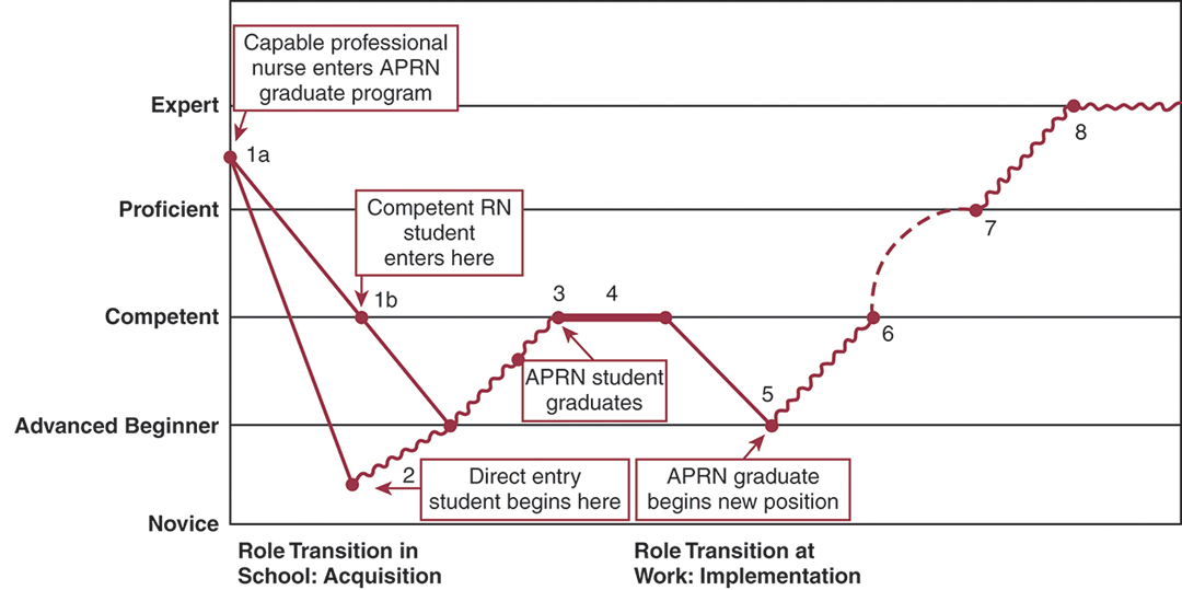 Hamric & Hanson’s Advanced Practice Nursing An Integrative Approach