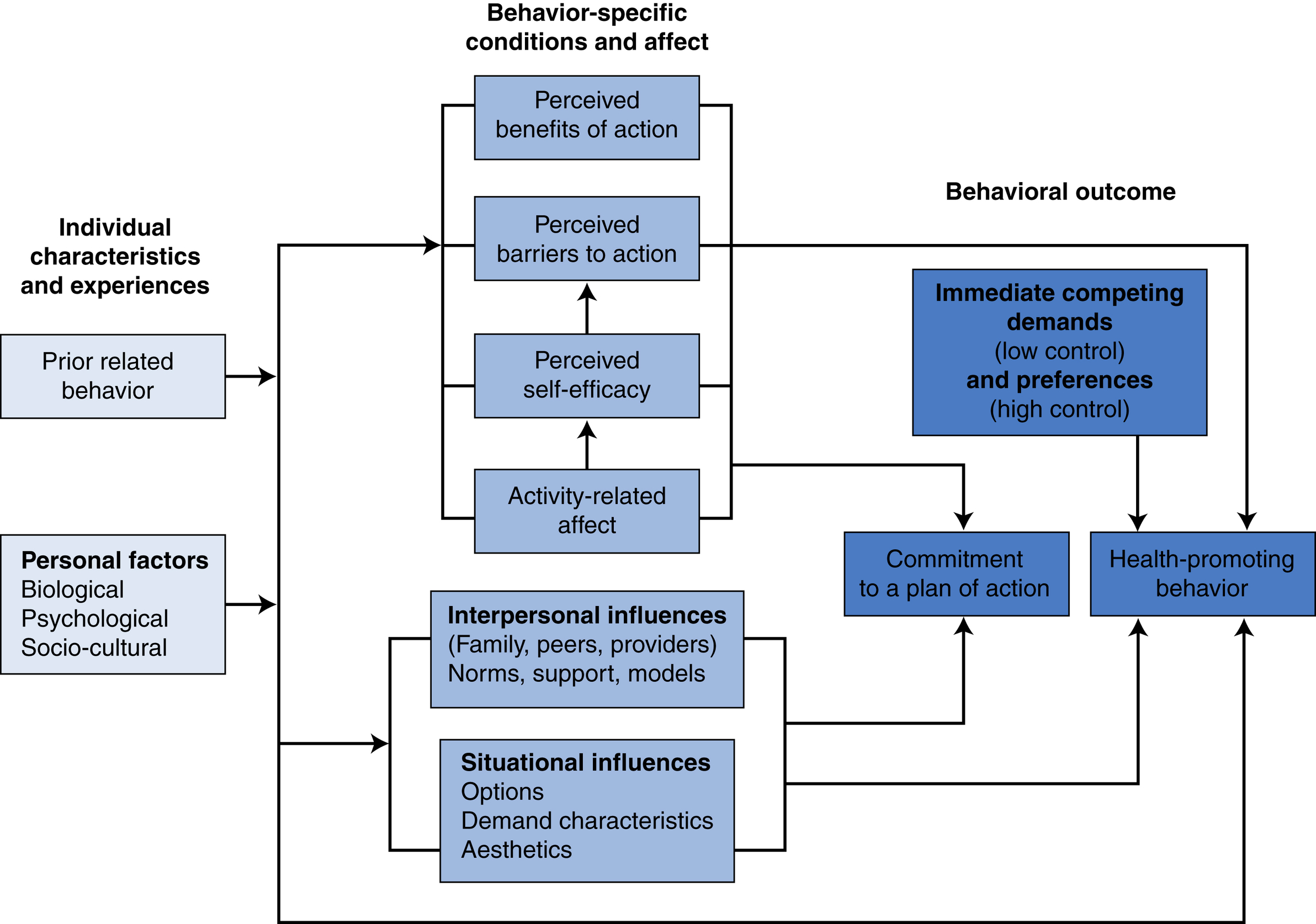 Communication Strategies for Health Promotion and Disease Prevention