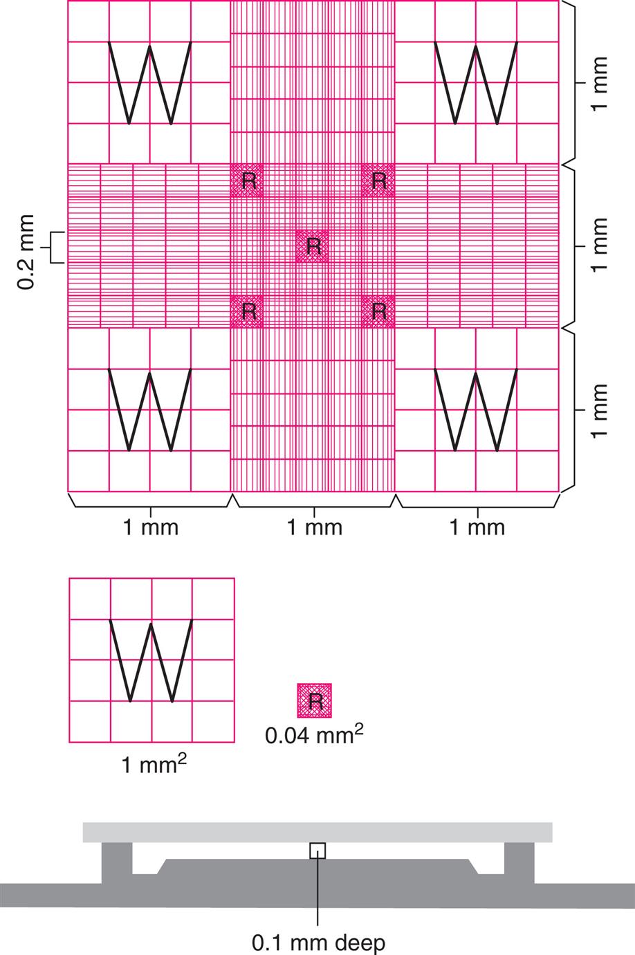 17: Body Fluid Analysis:Manual Hemacytometer Counts and Differential ...