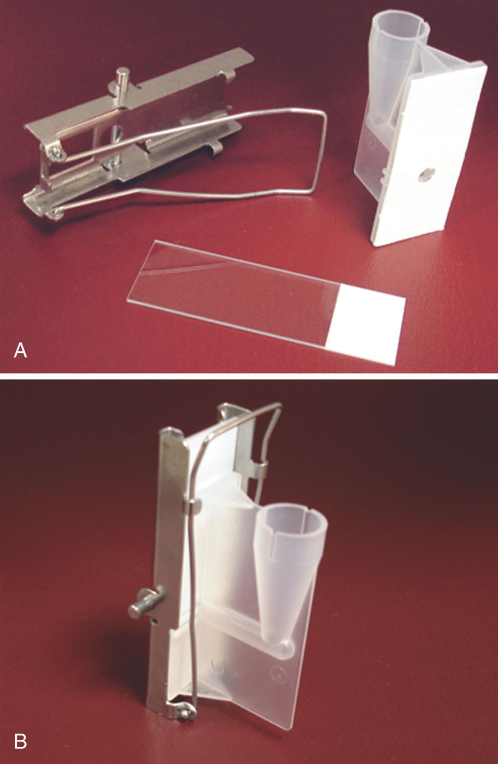 17: Body Fluid Analysis:Manual Hemacytometer Counts and Differential ...
