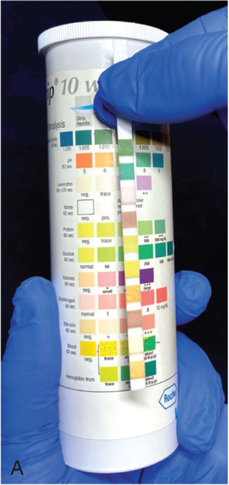 APPENDIX A: Reagent Strip Color Charts