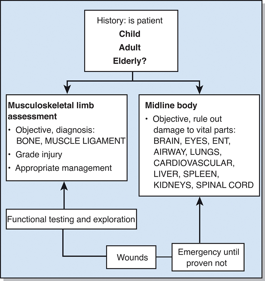 Minor Injuries: A Clinical Guide