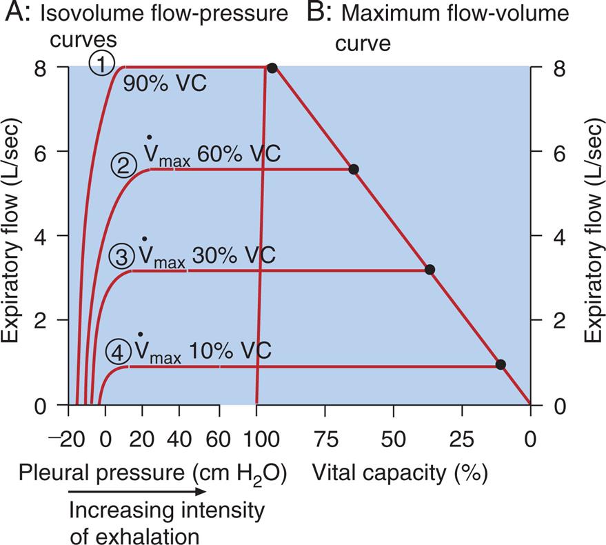 3: Mechanics of Ventilation